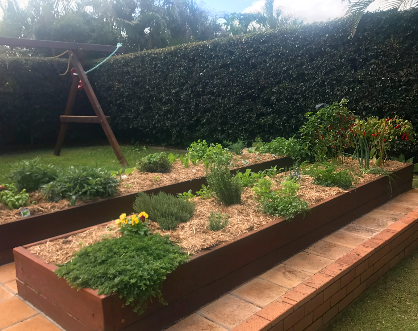 Organic Gardens | Brisbane Landscaping & Organic Garden Design